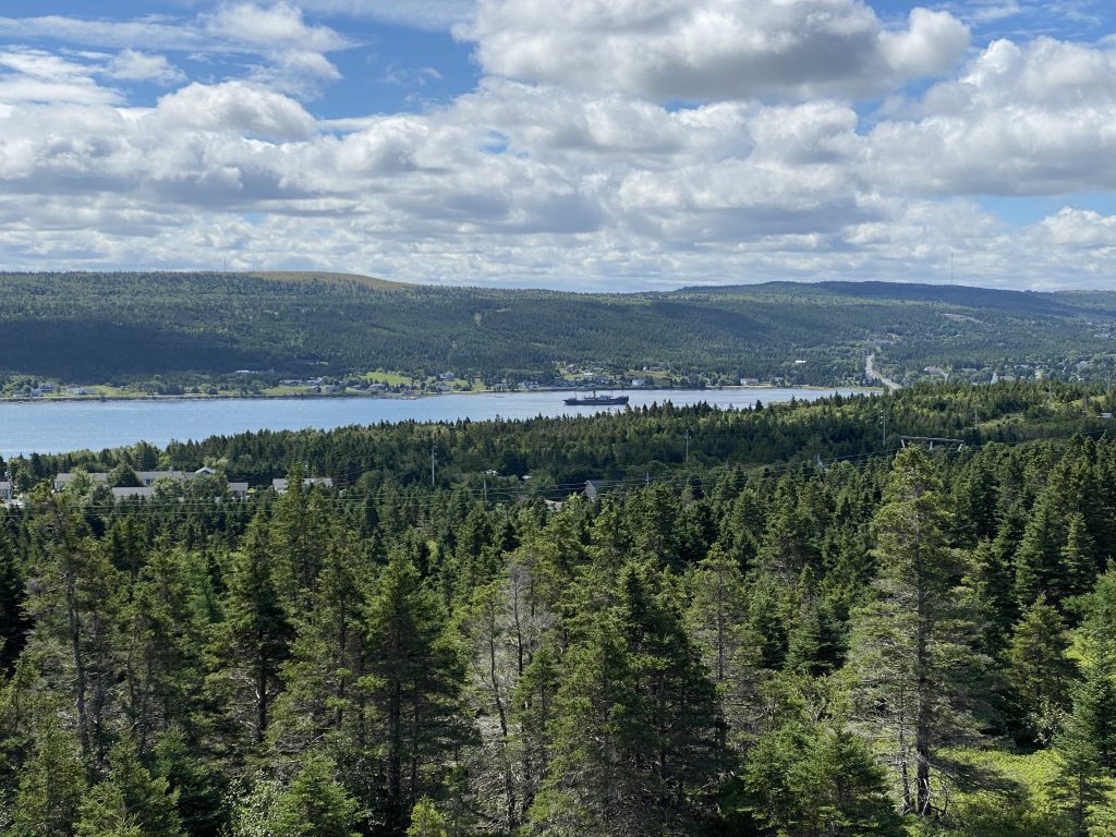 Newfoundland Day 9 - Baccalieu Trail - Ghost Cruises